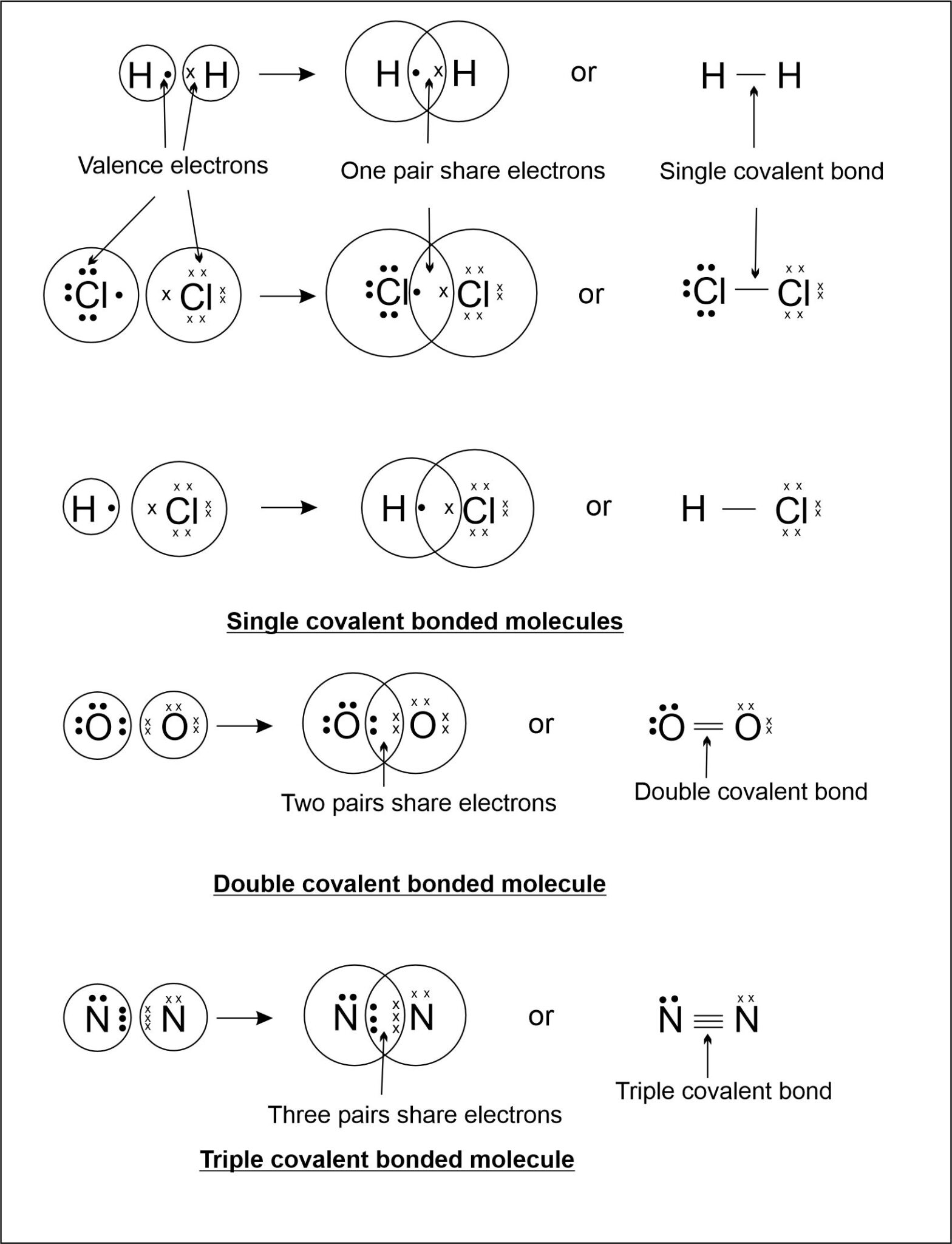Chapter - 4: Carbon and Its compounds - The Gravity